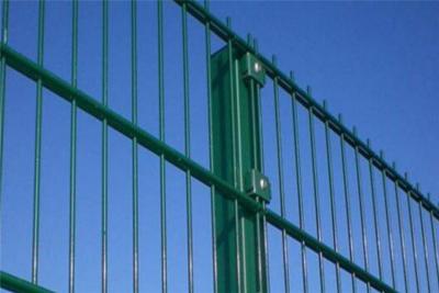 Cina Pannelli di sicurezza a maglia verde saldata per il mercato a un prezzo più economico in vendita