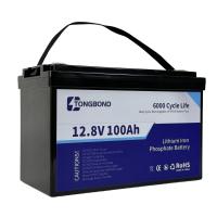 Quality 12V 100Ah LiFePO4 Lithium Battery Deep Cycle Unleashing Maximum Energy Density for sale