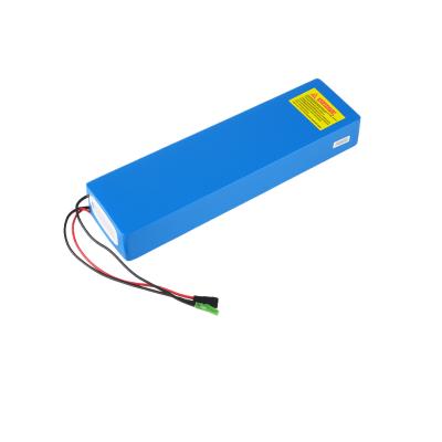 China Rechargeable 2 Wheeler EV Lithium Ion Battery For E Bike for sale