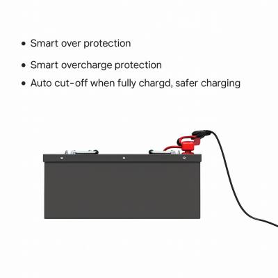 China Long Life 3 Wheeler EV Lithium Ion Car Battery OEM ODM for sale