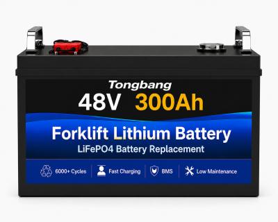 China 48V 300Ah OEM Forklift Battery with Smart BMS and CAN Bus Lithium Battery Pack Manufacturers for sale