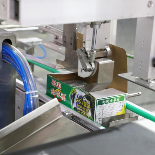 Quality Efficient Automatic Case Packing Machines Small Bag Pesticide Case Packer for sale