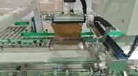 China Pastry Automatic Case Packer Efficient High Speed Case Packer GMP Compliance for sale