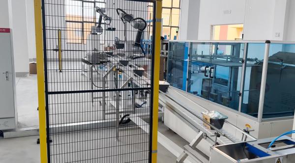 Quality Self Heating Rice Automatic Case Packer High Speed Case Packer Machine With for sale