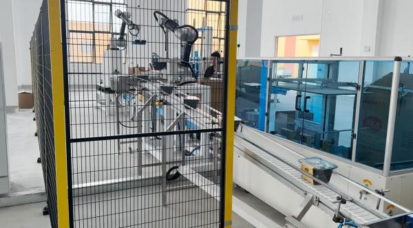 Quality Self Heating Rice Automatic Case Packer High Speed Case Packer Machine With for sale