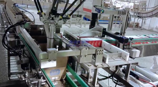 Quality Ice Cream Box Automatic Packer Servo Collation Case Packing Equipment With for sale