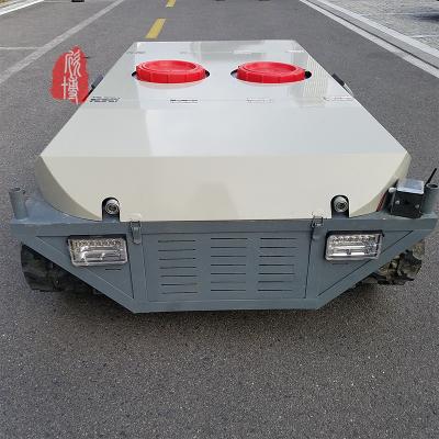 Cina 300L Capacity  Remote Control Sprayer Farming Agricultural Unmanned in vendita
