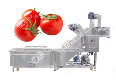 China Industrial Fruit Bubble Washing Machine Tomatoes Pepper Bubble Washer for Fruit and Vegetable for sale