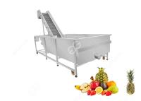 China Large Output Pineapple Cleaning Machine Fruit Processing Equipment2T/H for sale