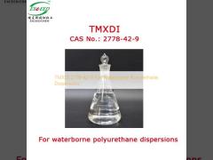TMXDI 2778-42-9 水中のポリウレタン分散剤用