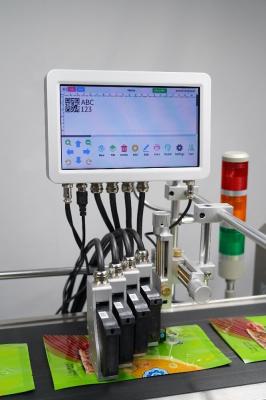 Cina 10 Inch Touch Screen Online Carton Coder Data di scadenza Stampa batch code con codifica in vendita
