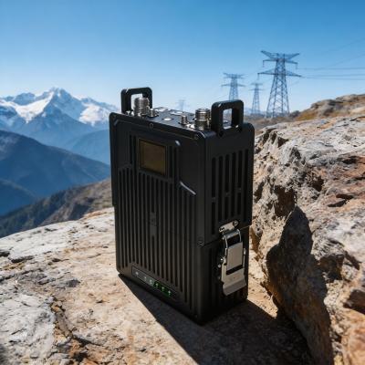 China Rapid Deploy Long Range Radio MANET Emergency Communication Radio for sale