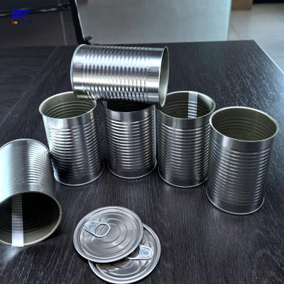 중국 크기 D73x113mm 300g 공허 한 캔 개 음식 판매용