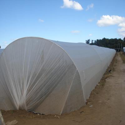 China PP Nonwoven fabric  for agriculture to protect plants from frost, wind, rain and pests for sale