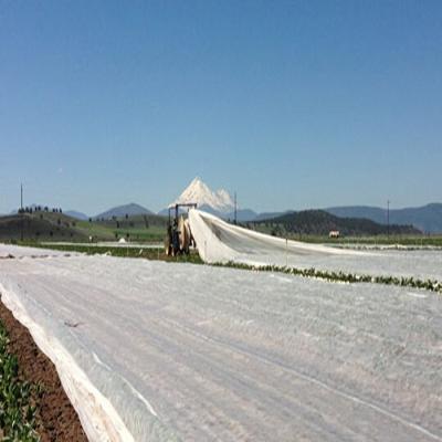 China 15-100Gsm White Agriculture Ground Cover ,Black 1-3% UV Pp Spunbond NonWoven Fabric for sale