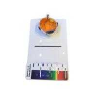 Quality Blue Light Tester, Other Optical Instruments, Analyzer, Lens UV + 420 for sale