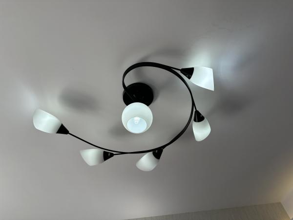 Quality Industrial LED Decorative Lighting For PV Equipment 5W-30W for sale
