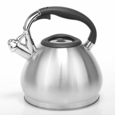 Cina Stainless Steel Water Kettle in vendita