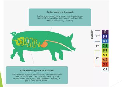 China Organic Acidic Agent Feed Additive For Piglet for sale