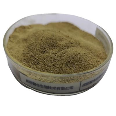 China Spain Plant Source Amino Acid 80% Powder 18 Types Essential Nutrient Promoting Strong Healthy Growth for sale