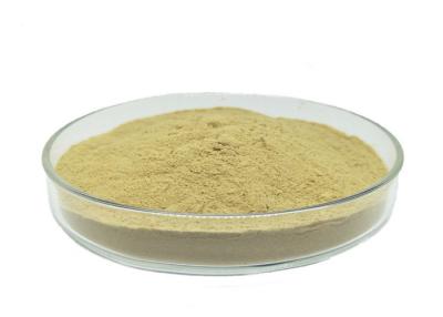 Organische Pulver-Aminosäure 80% des Stickstoff-13% für Gemüse-Getreide