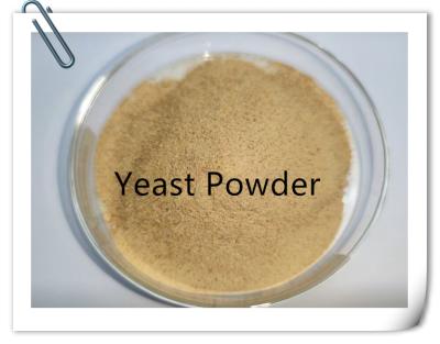 China Animal Feed Grade Dried Brewer Fodder Yeast Powder for sale