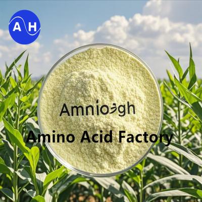 Cina Polvere di proteine pure Pesce organico secco Amino-proteina fertilizzante con NPK 15-1-1 in vendita