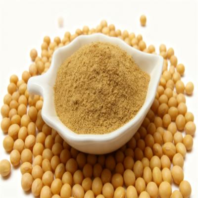 China Feed Additives Soya Protein Containing High Crude Protein 50% and Acid Soluble Protein for in Chunk Pet Food and Livestock Feed for sale