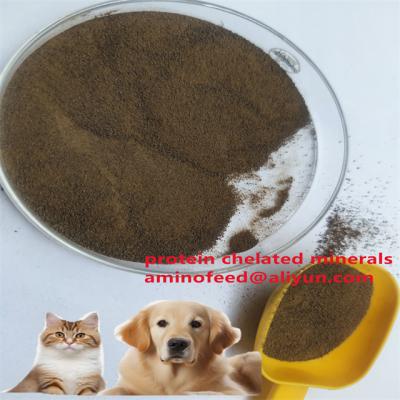 China Animal Protein Feed Type From Mycobacterial Bacterial Protein Powder With Crude Protein More Than 70% for sale