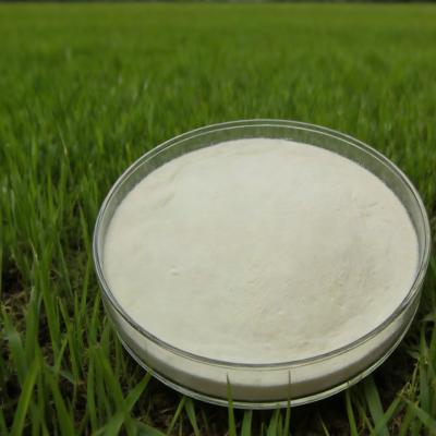 China Agricultural Fertilizer-grade 85% Corn Hydrolyzed Amino Acid Powder for sale