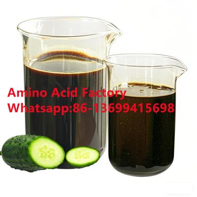 China 30% Free Amino Acid Liquid Fertilizer with Chloride-Free Formulation from NON-GMO Soya Bean Source for sale