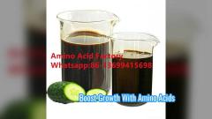 400g L Liquid Amino Acid Fertilizer for High Crop Yields