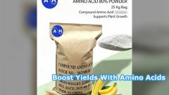 Boost Crop Yields with 100 Percent Soluble Amino Acid Powder