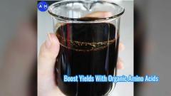 Boost Crop Yields with 400g L Liquid Amino Acid Fertilizer