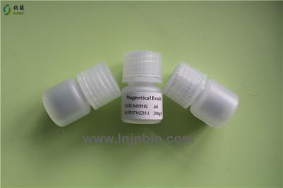 China Lnjnbio DNA/RNA extraction and purification nano biological large magnetic beads for sale