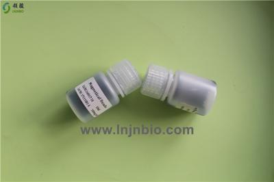 China Lnjnbio nucleic acid DNA/RNA extraction and purification biological Megnetic beads/particles for sale