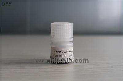 China Chinese Manufacturer Supply the best PCR purification magnetic beads for sale
