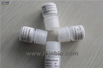 China Hot sale DNA/RNA extraction and purification nano magnetic particles/beads for sale