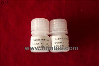China Whole blood RNA extraction and purification carboxyl magnetic beads for sale