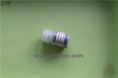 China nucleic acid extraction and purification Magnetic Polymer Beads for sale