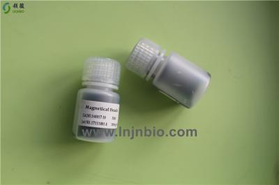 China Nano biological nucleic acid extraction magnetic beads/particle for sale