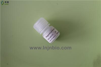 China Tumor virus DNA extraction silicon-based bilogical magnetic beads for sale