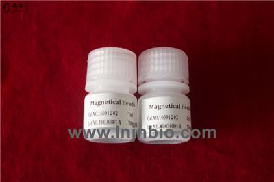 China Virus RNA extraction carboxyl nano biological magnetic beads supplier for sale