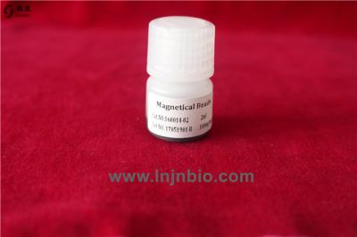 China Immunodetection nano biological magnetic microspheres/beads price for sale