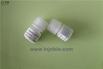 China Supply nano biofunctional nucleic acid extraction magnetic beads for sale