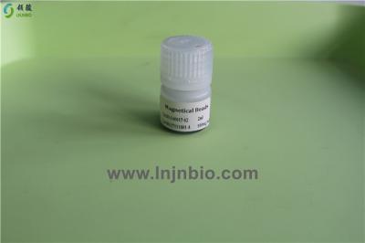 China Wholesale good PCR amplification nano magnetic beads/particle for sale