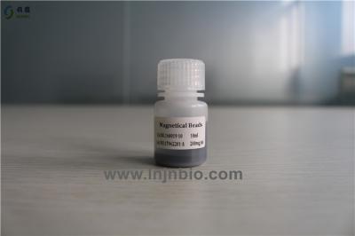 China Lnjnbio supply good framents selection magnetic beads/microsphere for sale