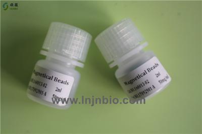 China Nucleic acid DNA extraction Magnetic Polymer Beads/microspheres for sale