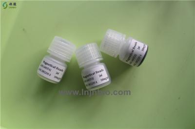 China Plant genomic RNA extraction and purification magentic beads/particles for sale