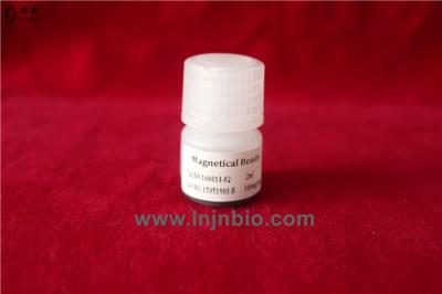 China High quality nucleic acid DNA/RNA extraction magnetic beads/particle for sale